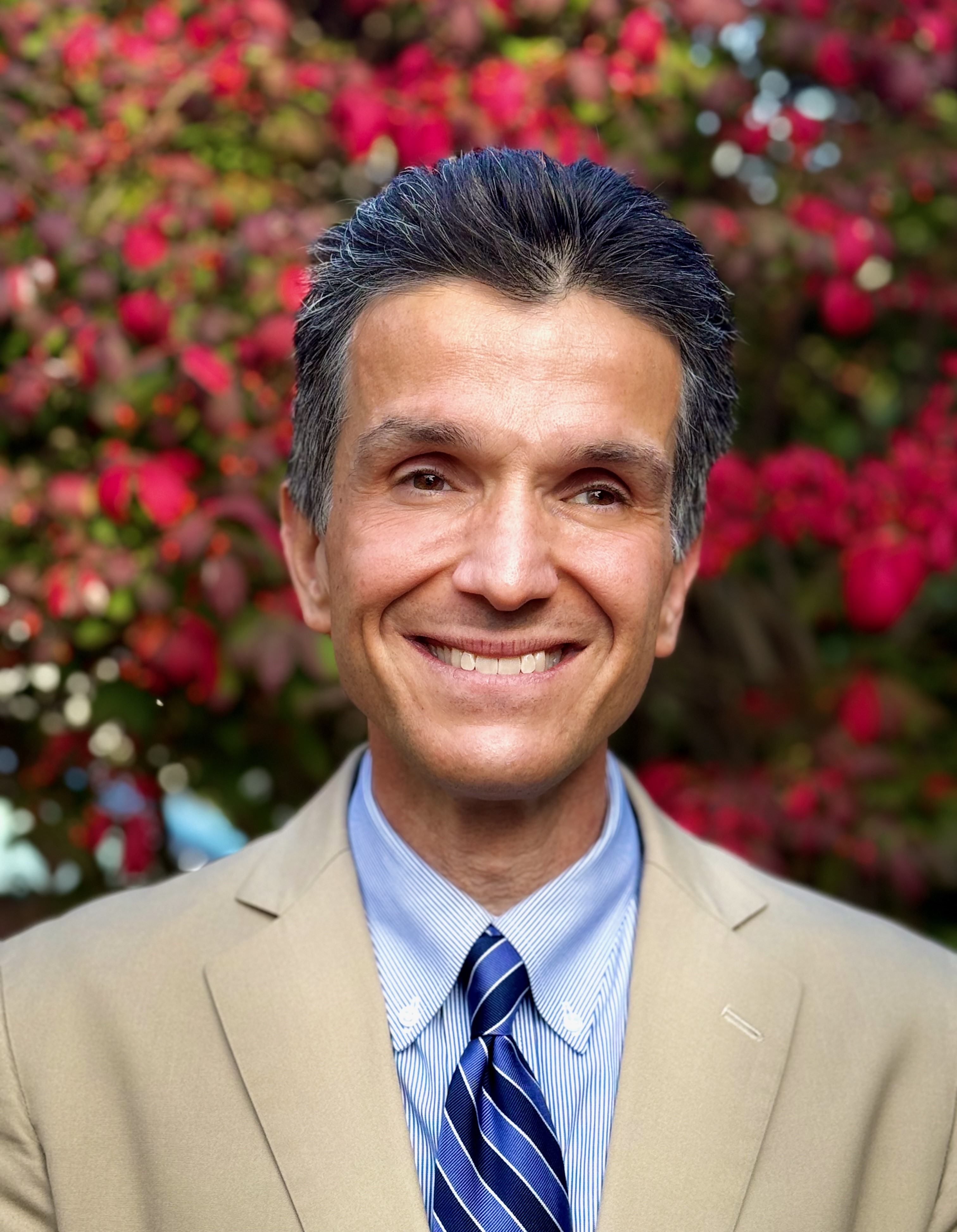 Emanuel N. Bardanis | Boston Attorney